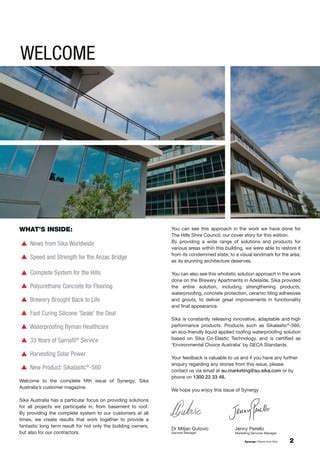Synergy Issue PDF