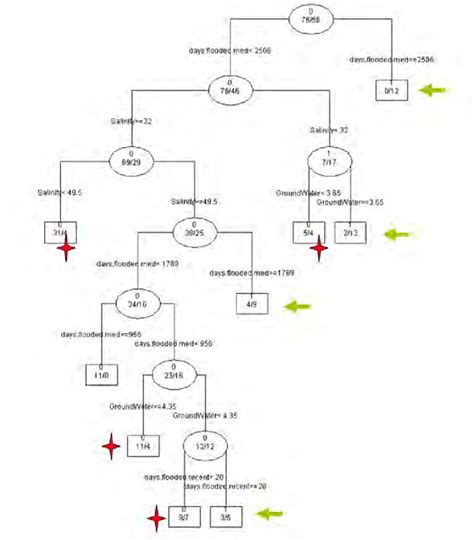 Regression Tree Diagram For 50 Trees At Three Times 1996 2001 2009