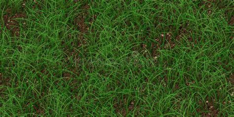 Sparse Textured Meadow Backdrop Grass Texture Field Background Stock