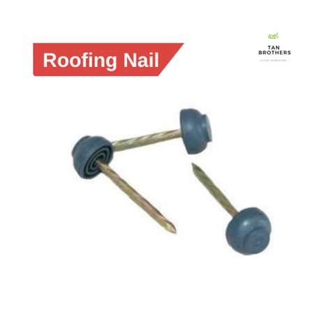Roofing Nail With Rubber Head Paku Zinc Paku Bumbung Lazada