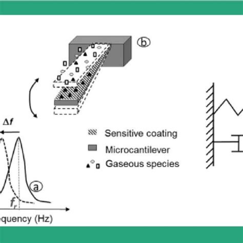 Illustration Of Microcantilever Utilized As Chemical Sensors A