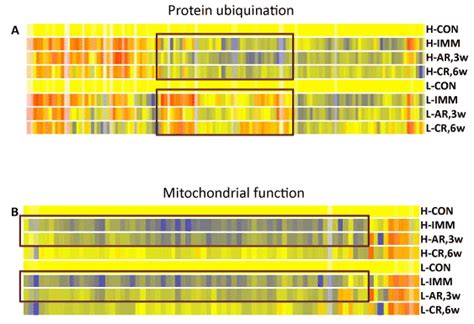 Molecular Signatures Of Differential Responses To Exercise Trainings