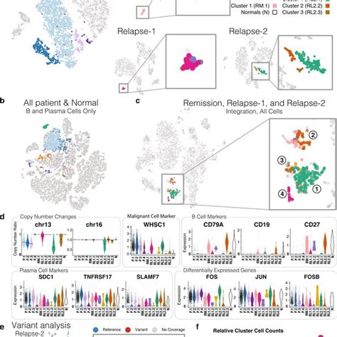 Detailed Analysis Of Plasma Cell Subpopulation Shift For Patient Download Scientific Diagram