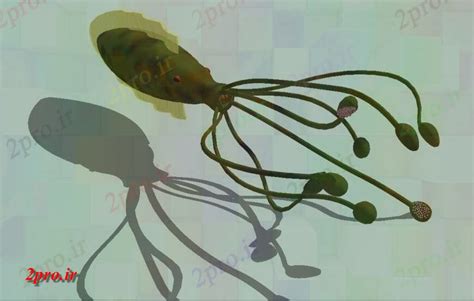 دانلود نقشه بلوک حیوانات مدل تریدی از طرحی حیوانات طرحی تا های آبی کد