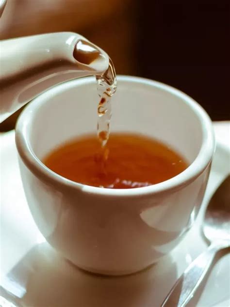 Top 8 Teas You Should Try Right Now Tradeindia