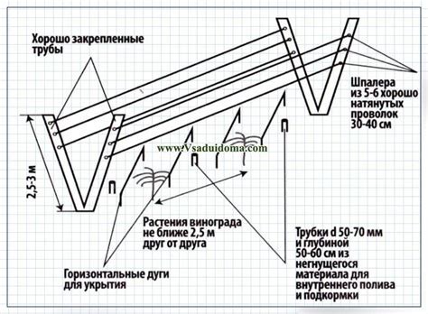 Как правильно сделать шпалеру для винограда размеры схема фото