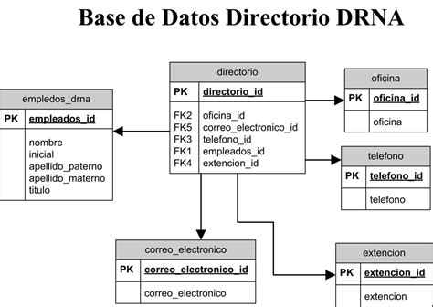 Estructura De Base De Datos Organiza INFO De Forma EFICIENTE