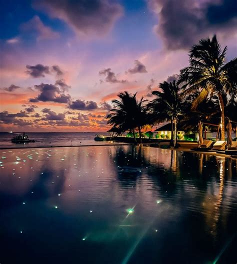 The Best Maldives Resort For Snorkeling Velassaru Maldives A Review