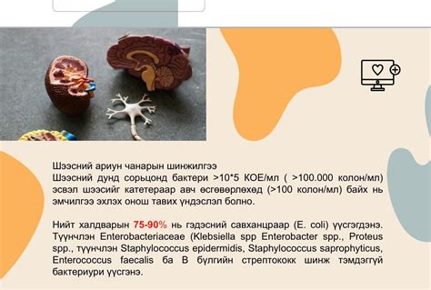 Tserensambuu Sharav Added A New Photo Tserensambuu Sharav