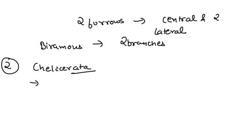 Solved Tagmatization Is The Process Of Dividing The Body Of An