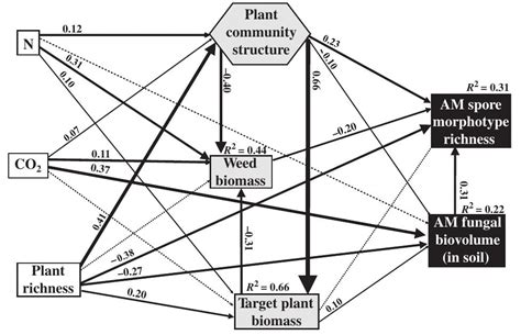 A Structural Equation Model Sem Showing The Causal