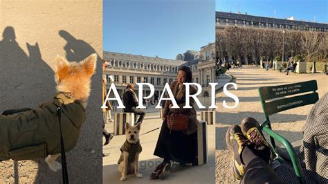 Ep23 Paris Vlog 10년차 직장인 과장 퇴사 후 파리 일상 짧은 이야기 1 파리 사는 부부일상 베리공손일상 브이로그 Youtube