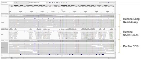 The HiFi Difference True Long Reads Vs Synthetic Long Reads PacBio