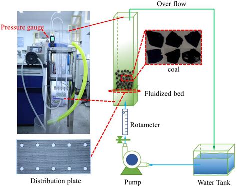 Liquid Solid Fluidized Bed At Harold Case Blog