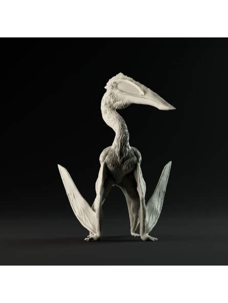 Hatzegopteryx De Pie