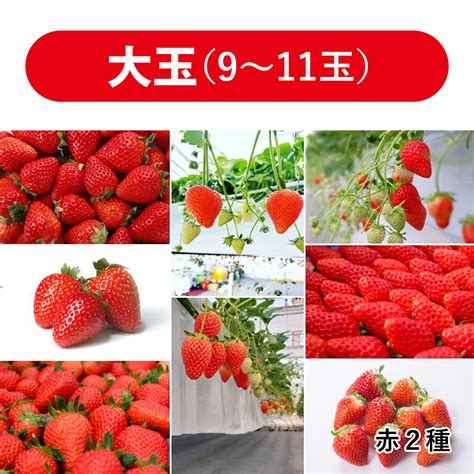 食品 西日本新聞セレクトモール