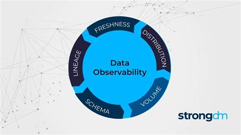 Data Observability Meaning Framework And Tool Buying Guide