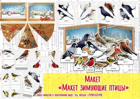 Макет Зимующие птицы