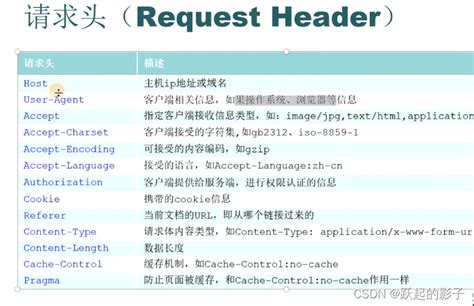 软件测试之 HTTP请求 响应报文 软件报文 CSDN博客