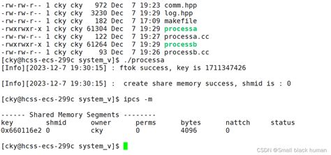 Linux 代码实现通过system V共享内存实现的进程间的通信进程通信共享内存代码 Csdn博客