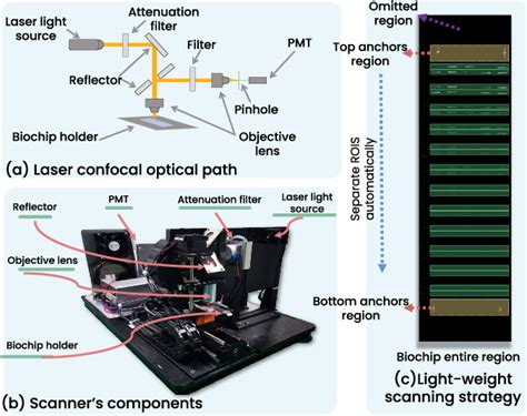 Figure 2 From A Barcode Array Biochip Sensor Analysis System Based On Geometry Guide Learning