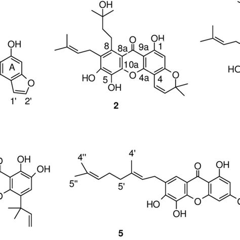 Structures Of Compounds Download Scientific Diagram
