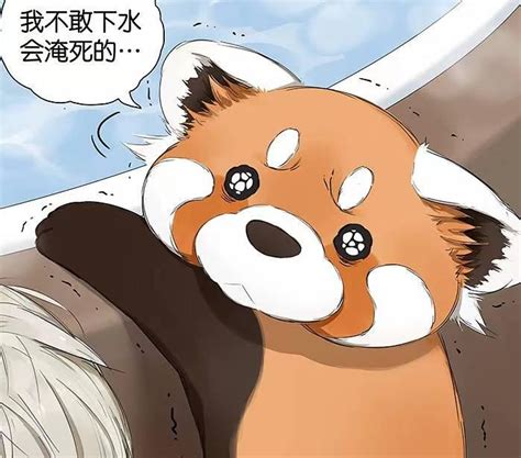 「漫画」请叫我小熊猫：第一次洗澡 知乎