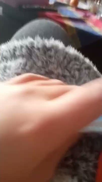 დაწერეეთ კომენტარებში მოგწონვართ თუ არა Youtube