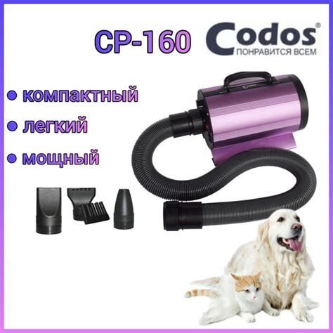 Фен-компрессор Codos CP-160 для сушки собак и кошек - купить с ...