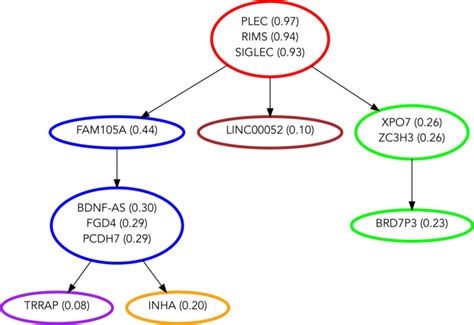 Inferred Tumor Phylogeny For Patient 2 From 37 Through The Joint Use