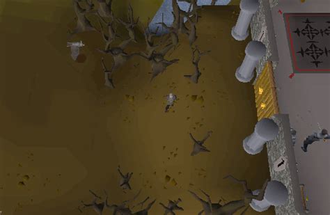 File Emote Clue Raspberry Keep Le Faye Png Osrs Wiki