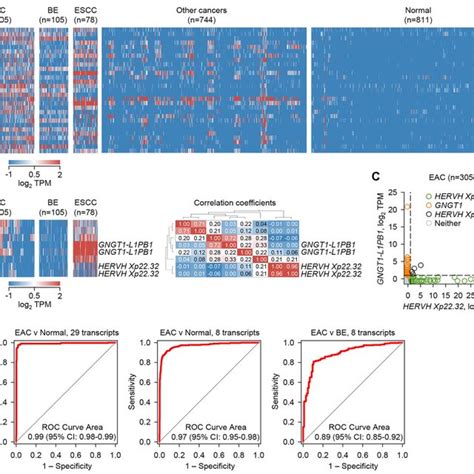 Aberrant Rna Splicing In The Eac Transcriptome A Schematic R Epr