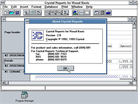 Winworld Microsoft Visual Basic 30