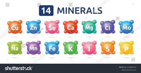 Essential Chemical Minerals Microelements Symbol Set Stock Vector