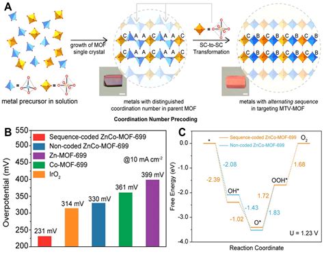 Welcome To The Jiang Research Group