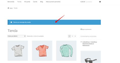 Poner título en página de shop Plugins WordPress