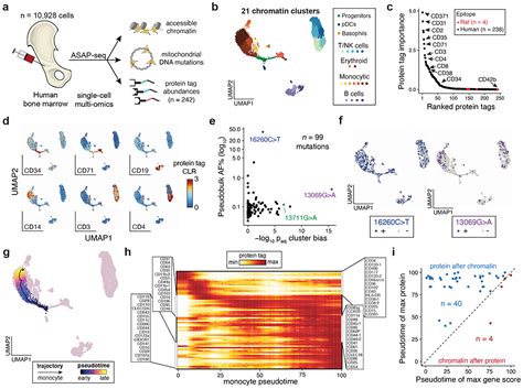 Scalable Multimodal Profiling Of Chromatin Accessibility Gene