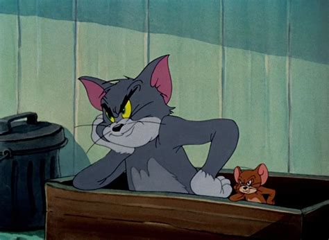 Bộ Tom And Jerry Meme Cực Hot Khiến Dân Mạng Phát Sốt