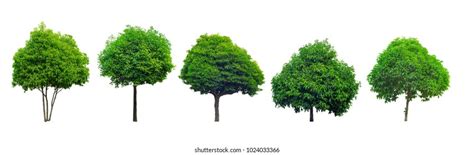 Huge Bullet Photos And Images Shutterstock