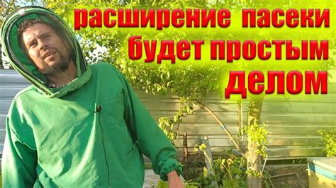 Это вам не расскажет не один опытный пчеловод Быстрое расширение