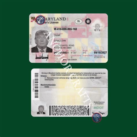 Maryland Driver License Fake Editable Template