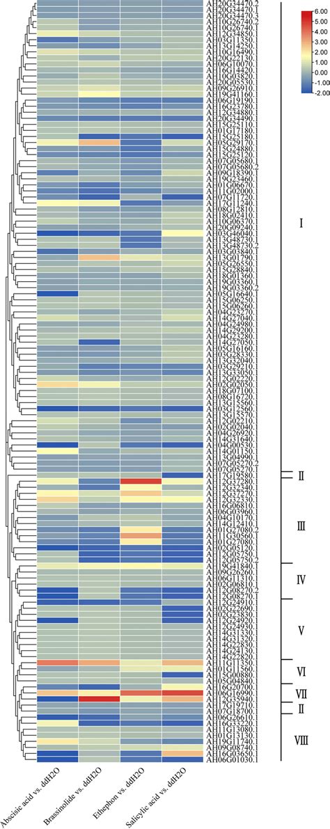 a heatmap showing the hierarchical clustering of the expression levels