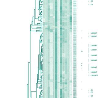 MIRU VNTR Dendrogram Of The 132 M Tuberculosis Clinical Isolates