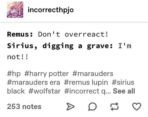 Pin By Nadine BARRET On Wizarding World Harry Potter Headcannons