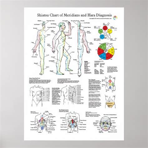 Shiatsu Acupuncture Meridians And Hara Diagnosis Poster Zazzle