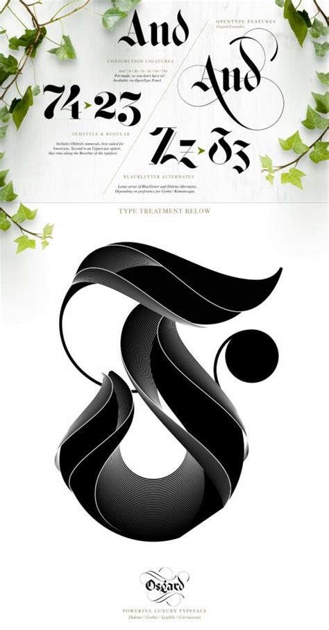 Osgard Pro | Font – MasterBundles