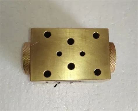 Damcos Dpcv 3 Double Pilot Operated Check Valve 160g6000 At Best Price In Bhavnagar