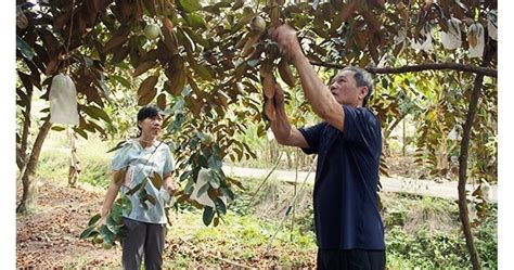 130 млн долара влага Виетнам в зона за биологично земеделие Български Фермер