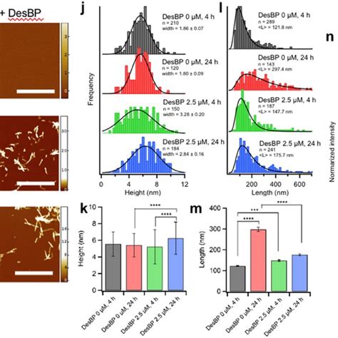 Ft Ir Spectra Of A Tio 2 Amorphous B Tio 2 Anatase C Tio 2 Download Scientific