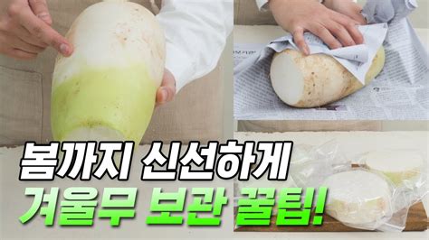 겨울무 보관 꿀팁 바람 들지 않고 썩지 않게 보관하는 방법과 무 부위별 사용법 Youtube